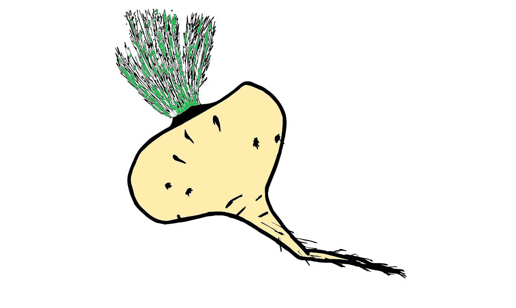 What is Maca and What are its Health Benefits?